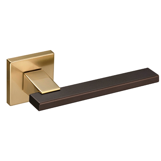 Lever Handle with Profile Cylinder lock & Mortise Lockcase | Products ...